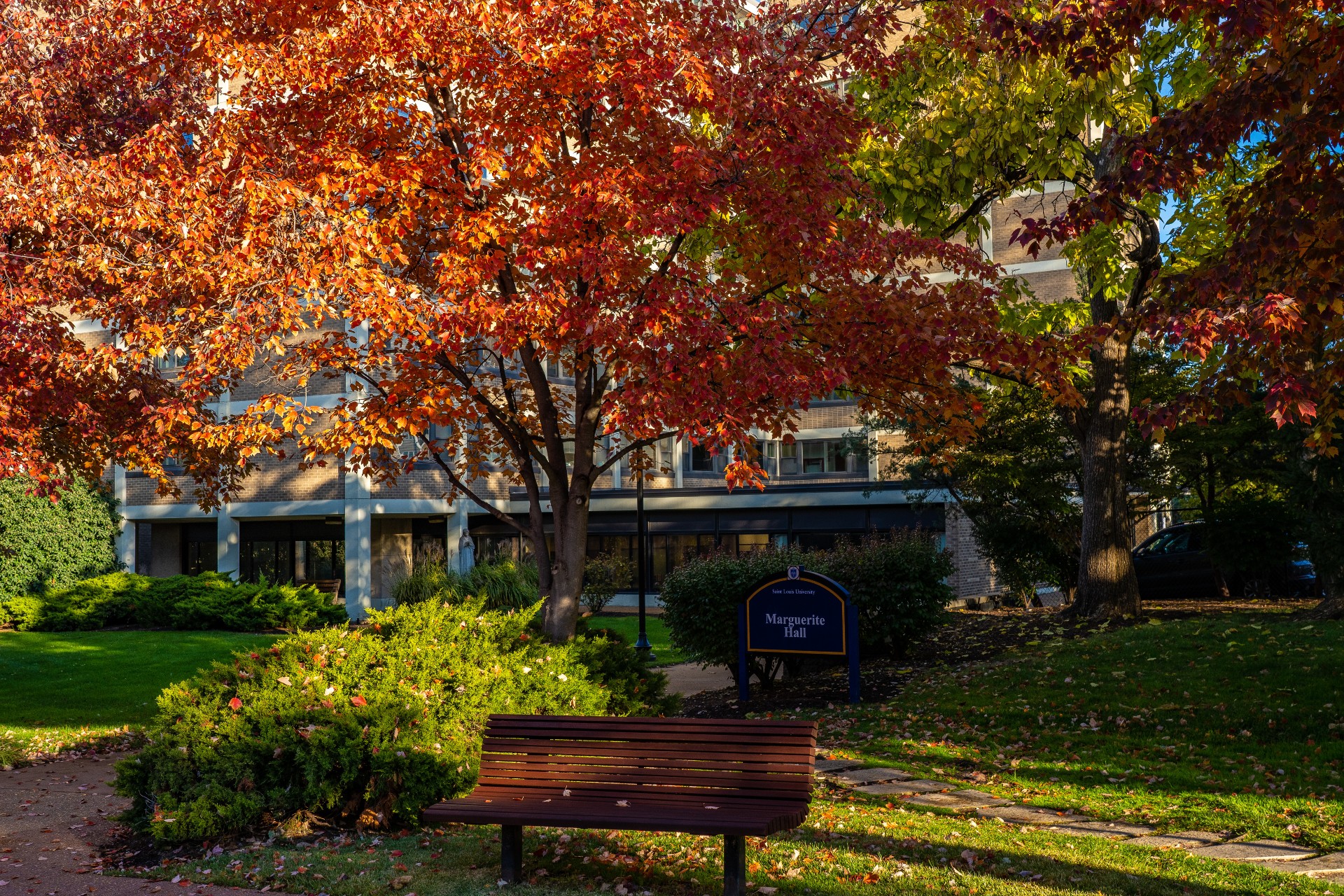 Campus Features | SLU Digital Viewbook